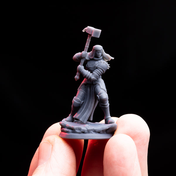 Idris, Scalebreaker | War King Miniatures